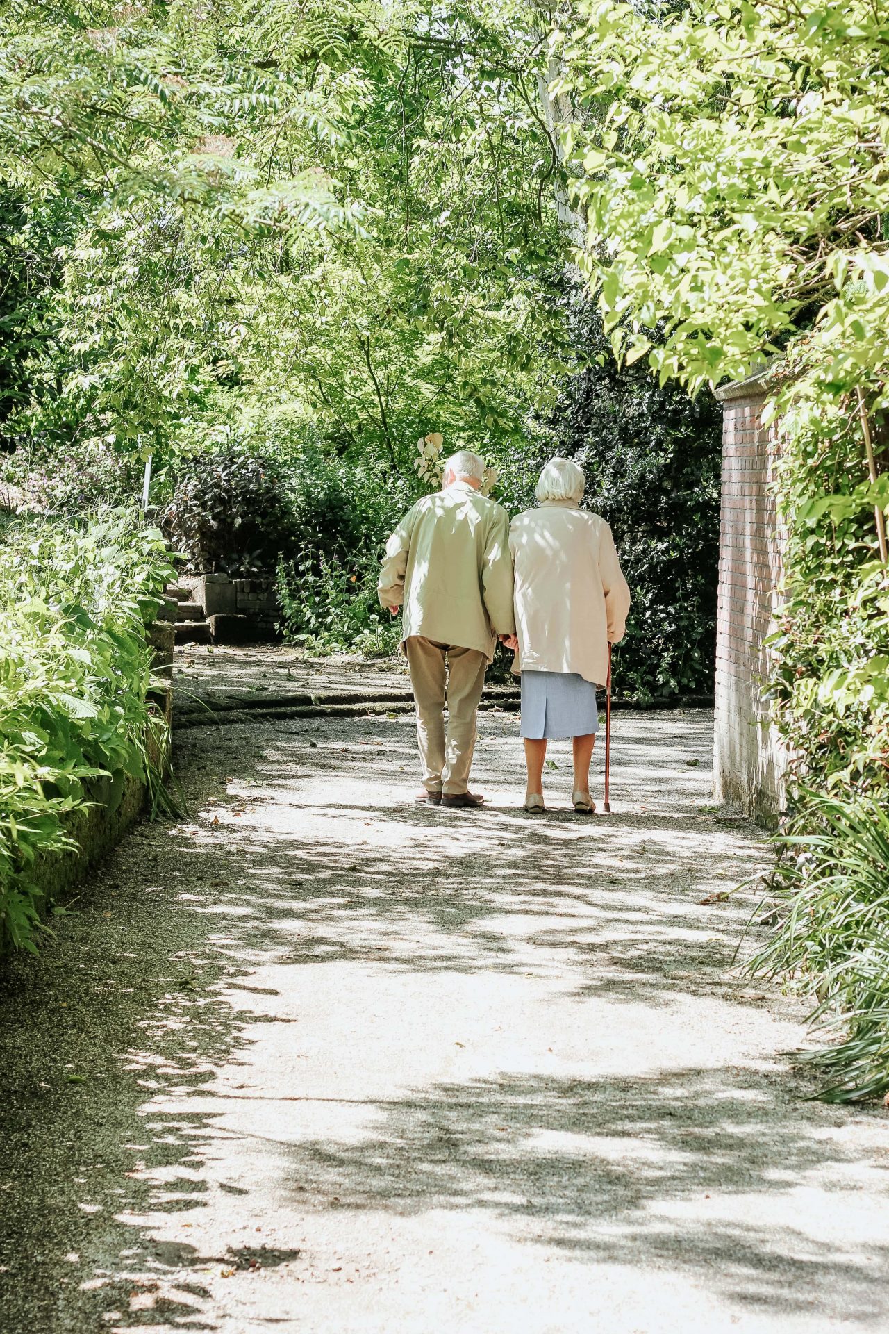 Elder Law | Campbell law Ltd